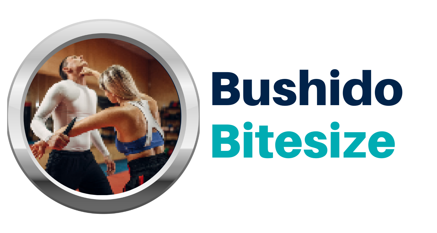 Bushido Bitesize - App Course | The Self Defence Micro Mastery Experts